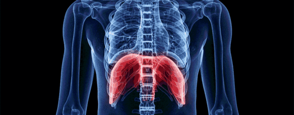 How the POWERbreathe IMT device works - POWERbreathe | UK